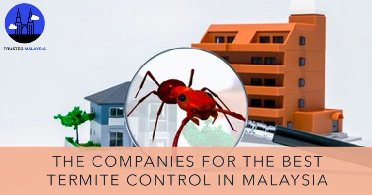 The 15 Companies for the Best Termite Control in Malaysia [2025]
