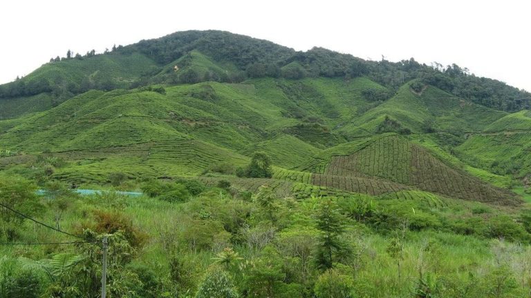 13 Best Attractions Located in Gopeng [2025]