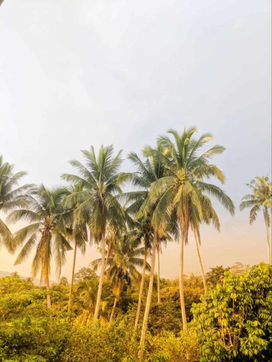 Discovering Malacca’s Beautiful Beaches [2025]