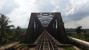 All You Need to Know before Boarding Malaysia’s Jungle Train [2025]