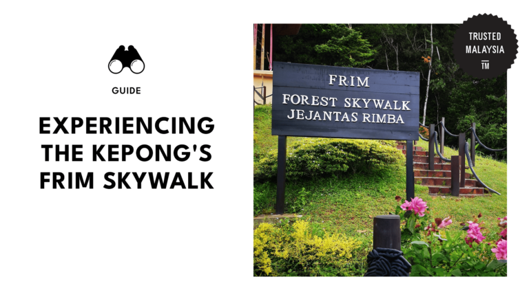 The ONLY Guide You’ll Need for FRIM Skywalk (+ Local Tips!) [2025]